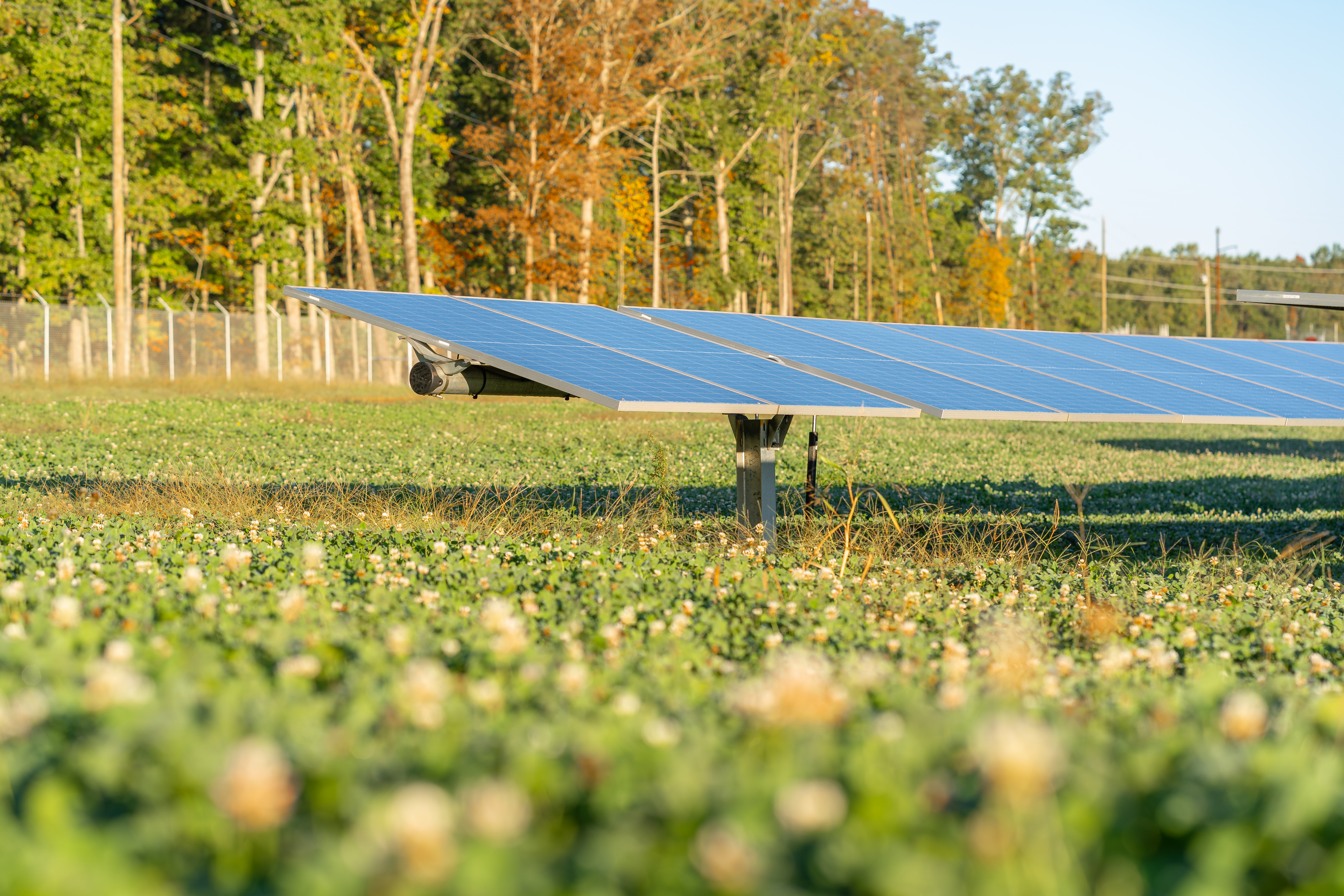 Luminary Solar | AES