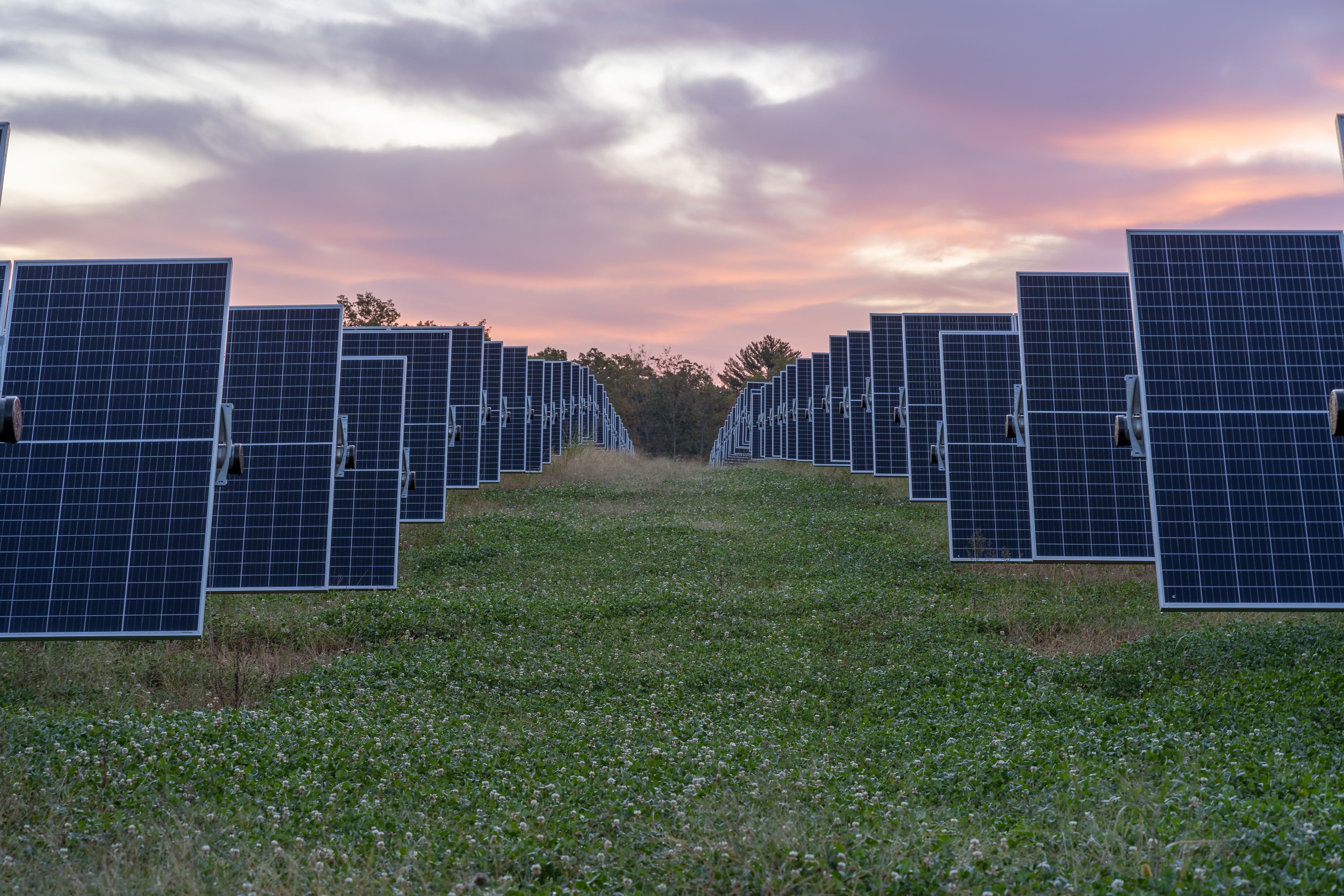 Heart Pine Solar | AES | AES